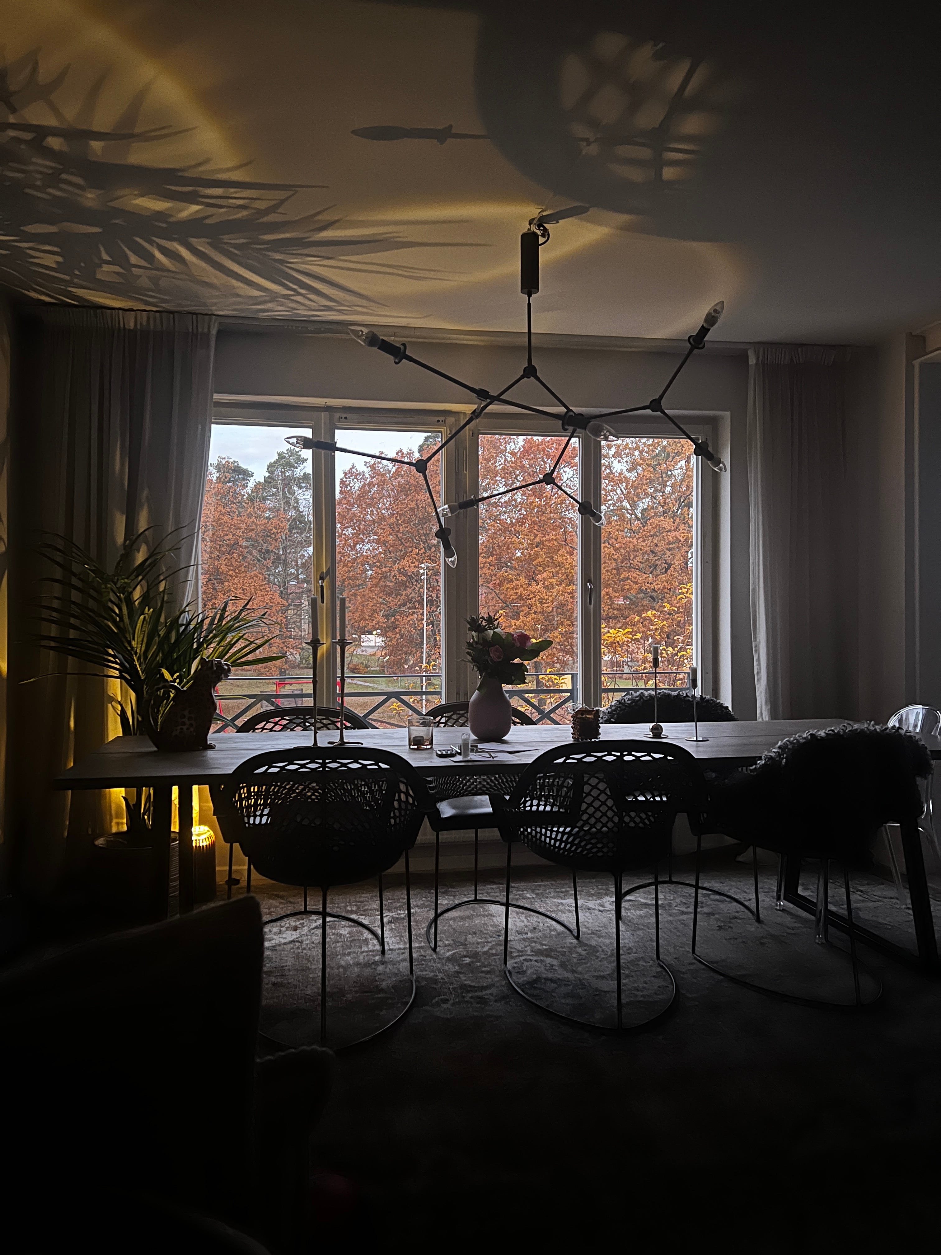 Barnvecka, borttappad kolt o... | Magdalena Graafs Blogg | Amelia