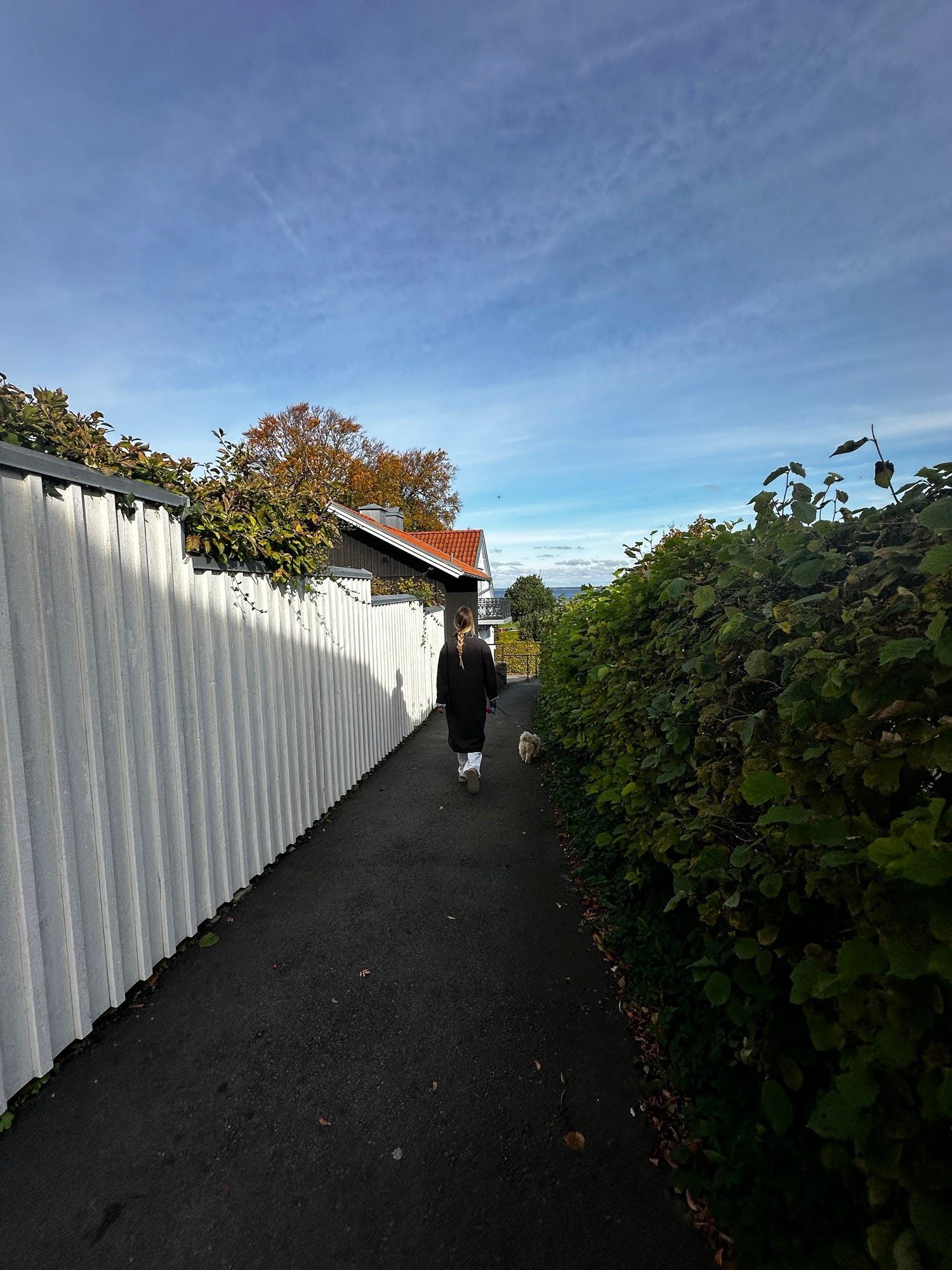 Badat kallbad och åkt roadtrip | Magdalena Graafs Blogg | Amelia