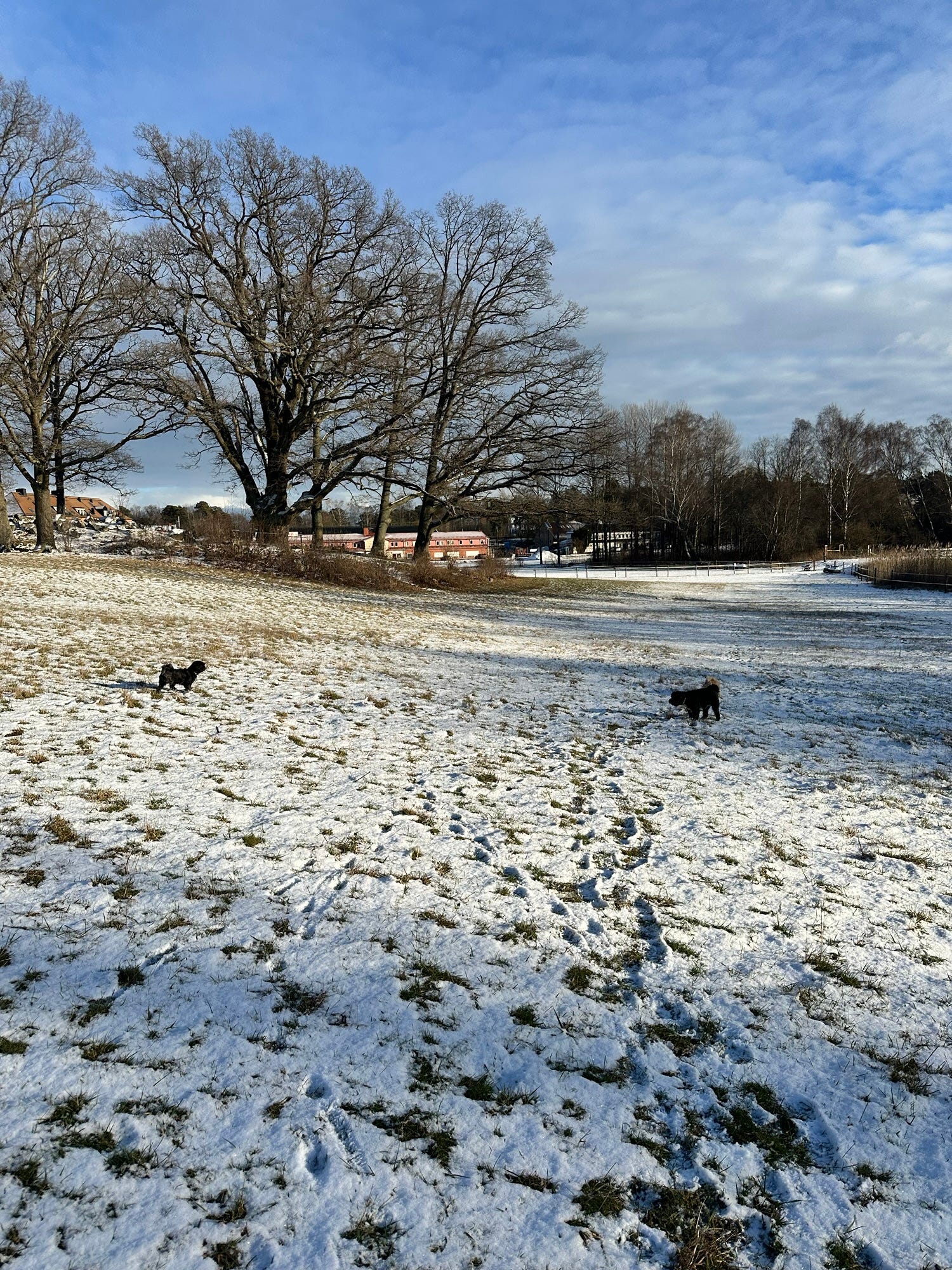 Hello bombshell, Ekerö, dåli... | Magdalena Graafs Blogg | Amelia