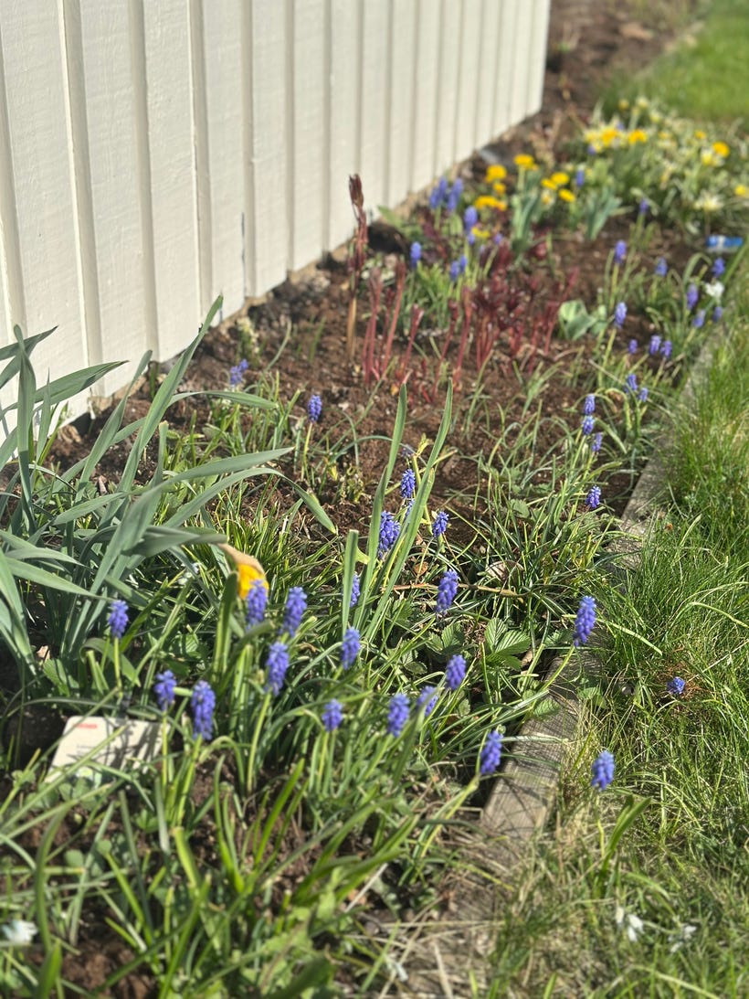 En riktig smäll | Magdalena Graafs Blogg | Amelia