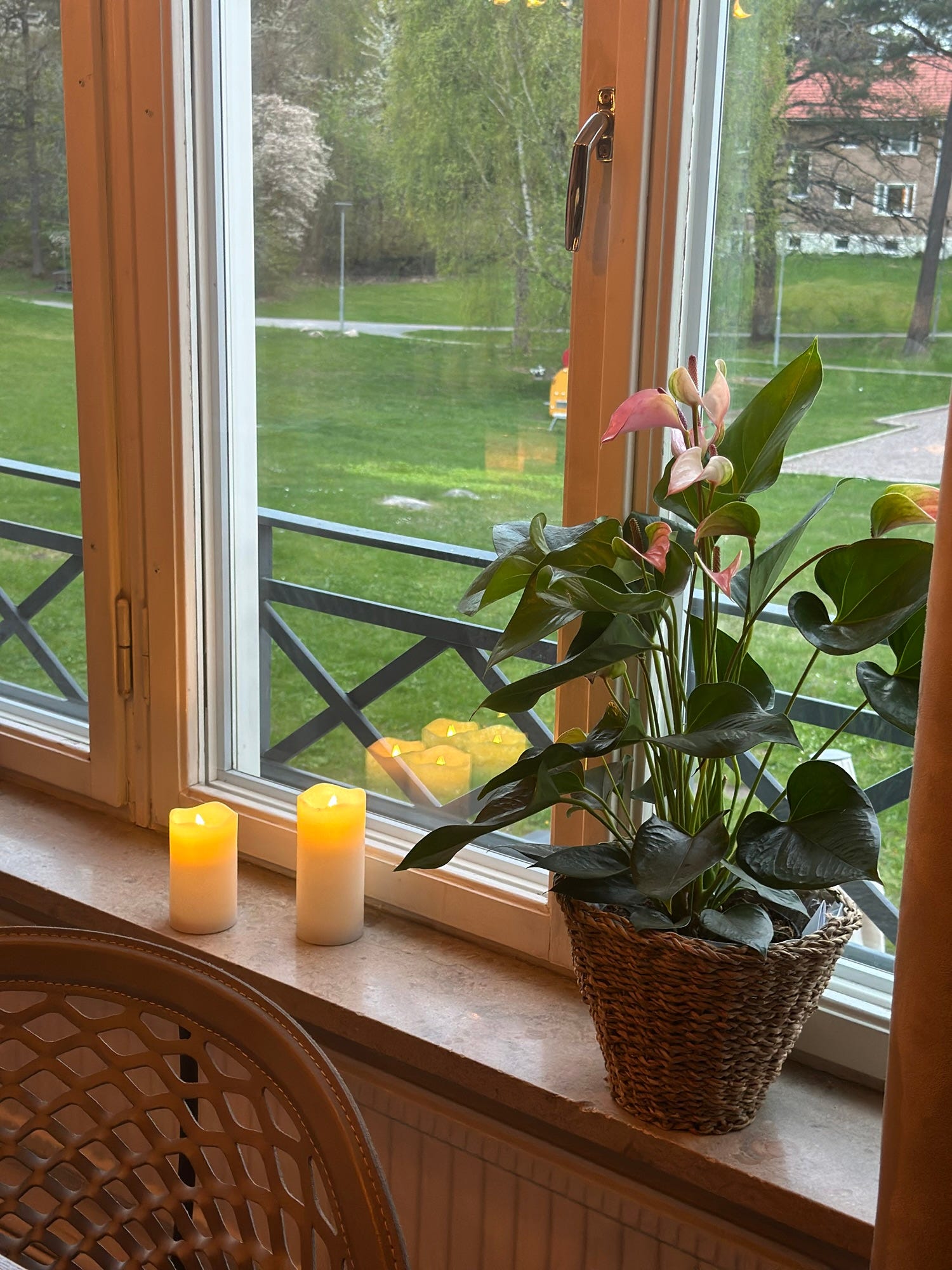 En riktig trevlig dag, solsk... | Magdalena Graafs Blogg | Amelia