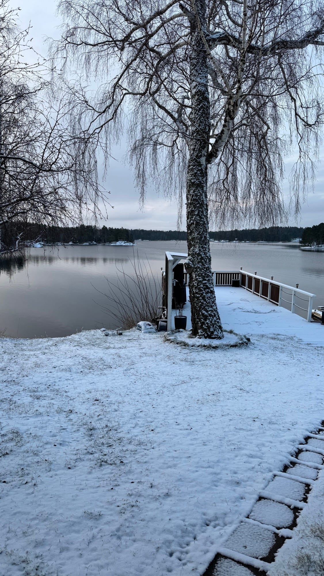 En vecka som bara kostat pengar | Monas Universum | Amelia