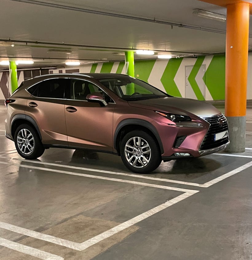 Monas Universum | Amelia