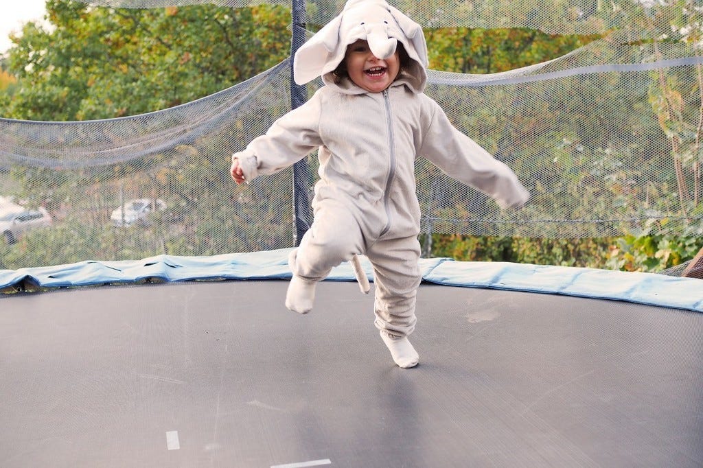 Libero animal | Paula Rosas | Amelia