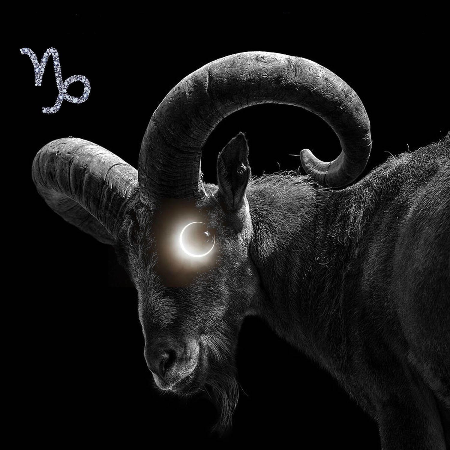 Venus i Stenbocken | Astrobloggen | Damernas Värld