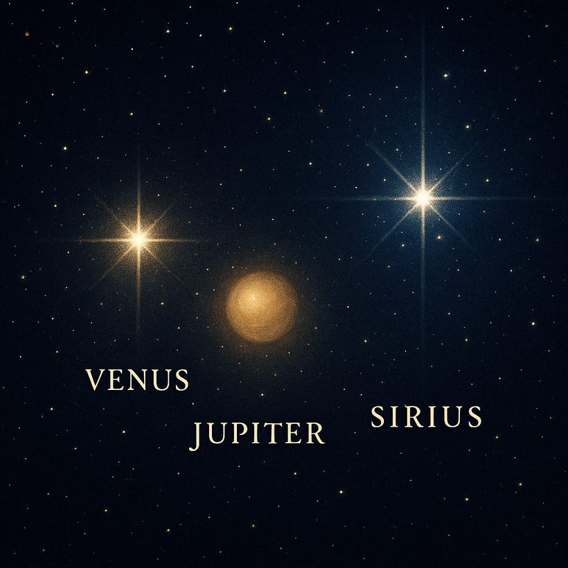 Venus, Jupiter och Sirius | Astrobloggen | Damernas Värld
