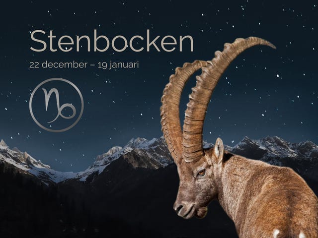 Årshoroskop 2026 Stenbocken | Astrobloggen | Damernas Värld