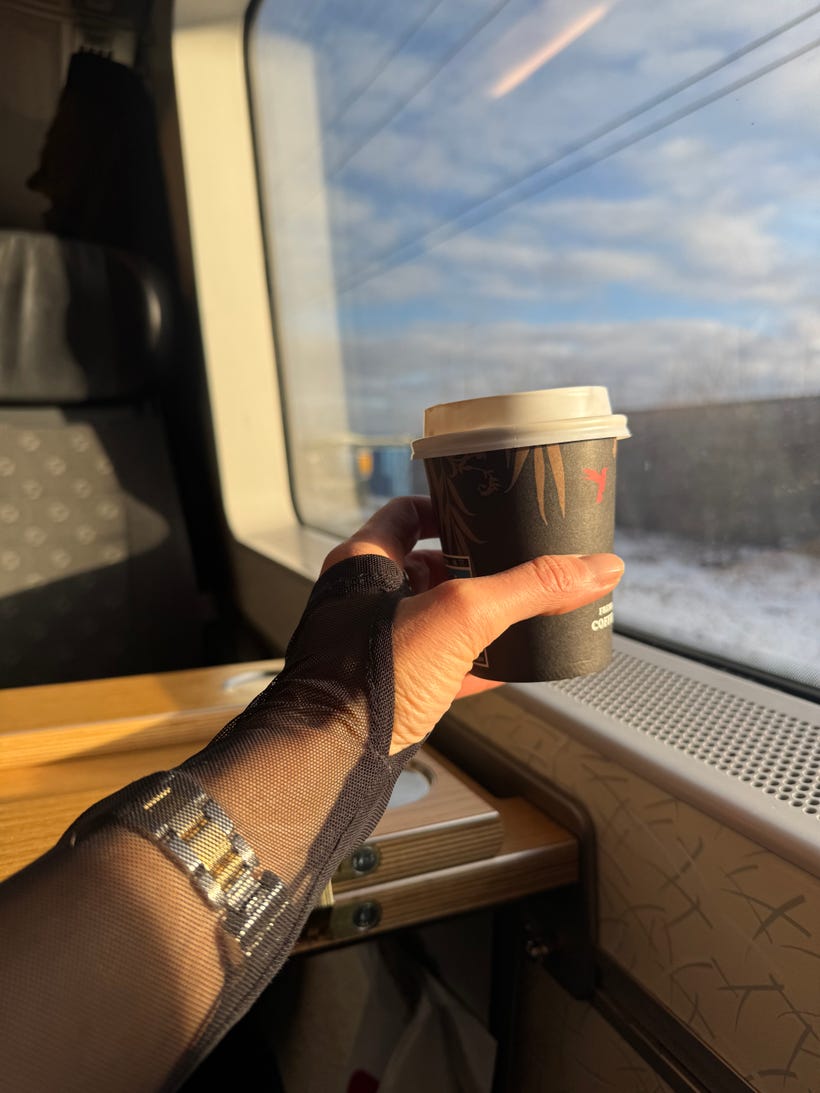 Vintermagi vitt vitt vitt | Ida B Olsson | Damernas Värld