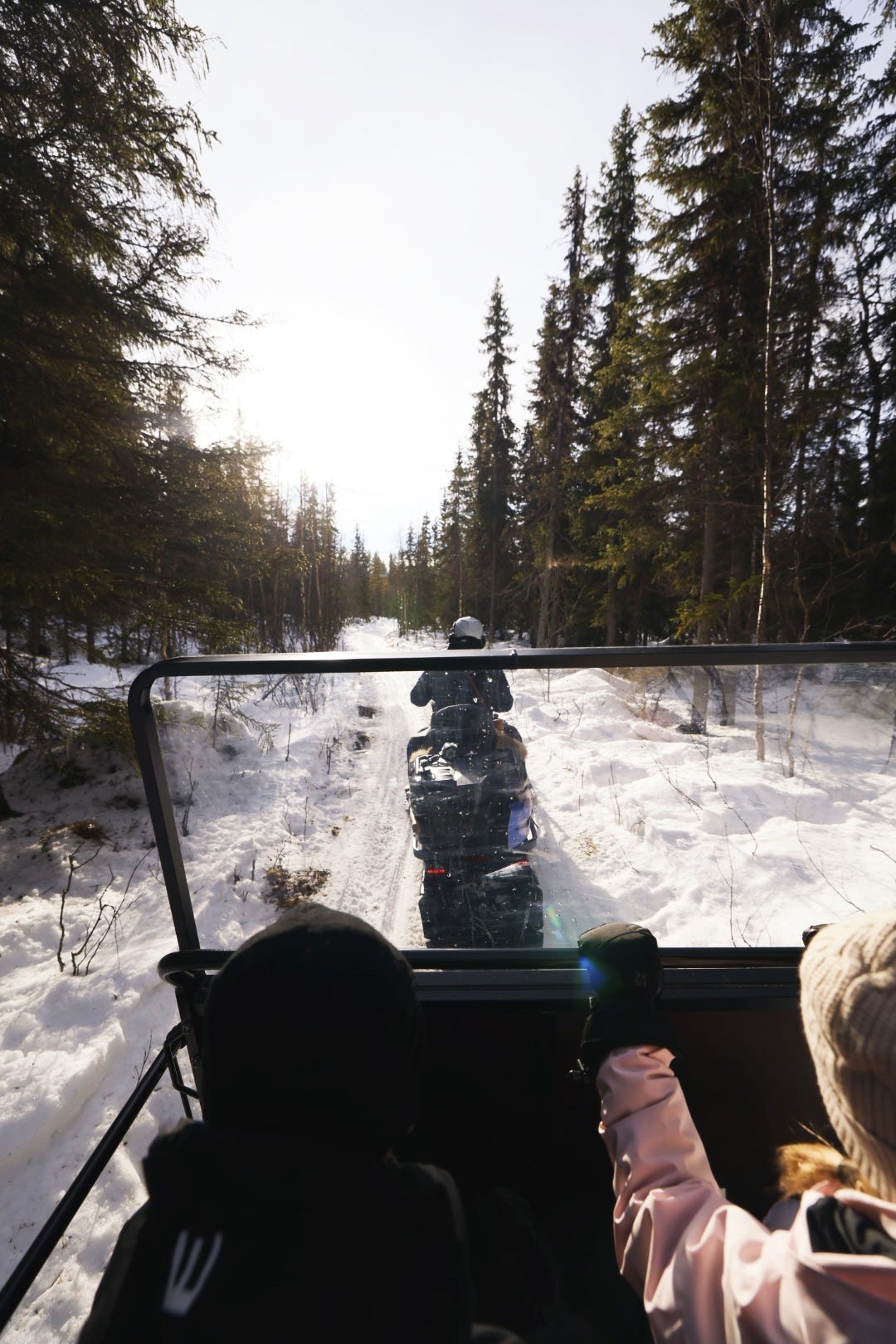 Pimpling, sol och s’mores | Isabella Löwengrip | Damernas Värld