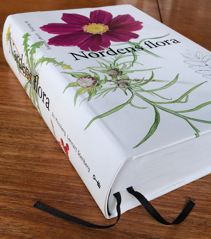 Cool intresseväckare! | Svante Öqvist | Sköna Hem