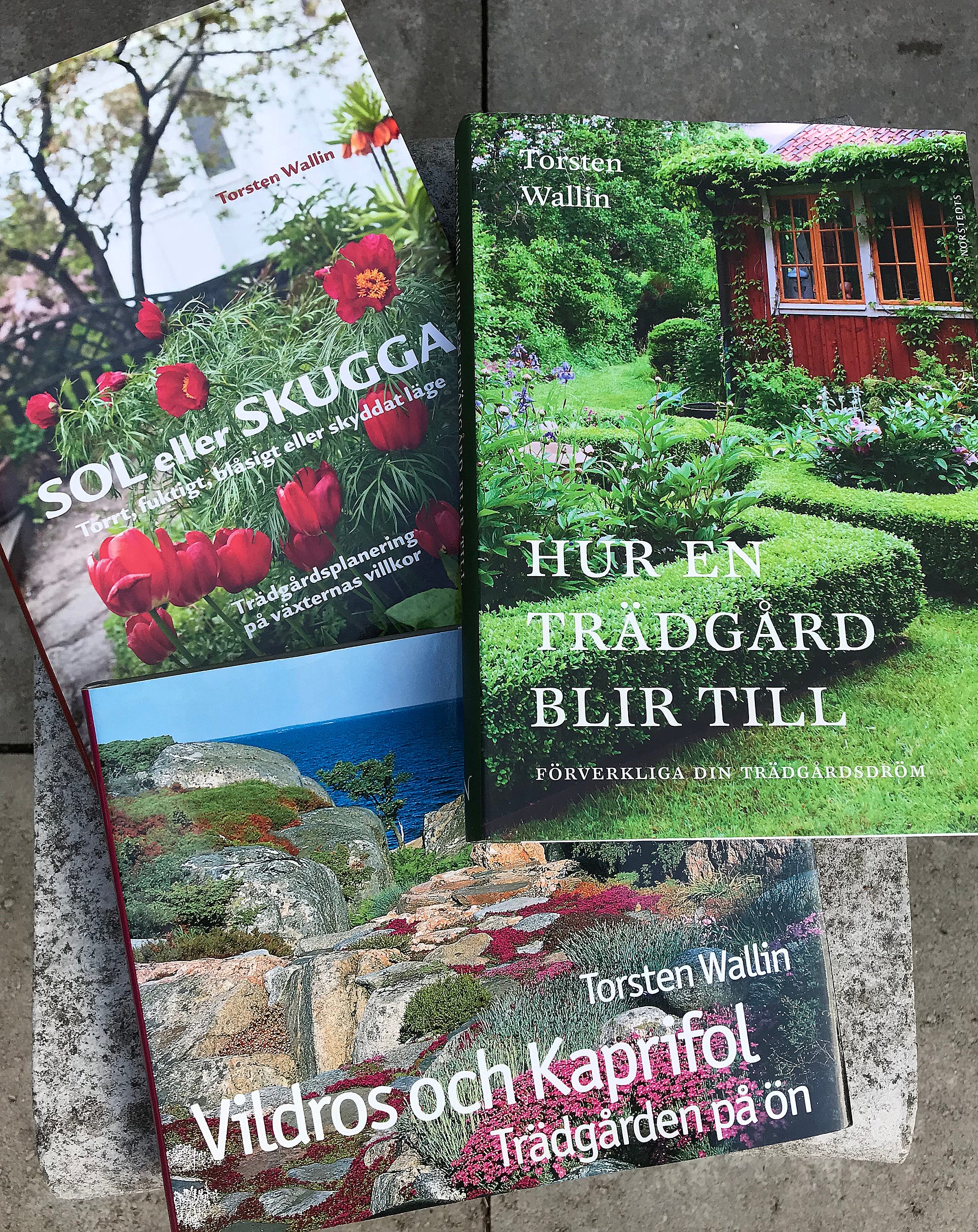 Vildros och Kaprifol | Svante Öqvist | Sköna Hem