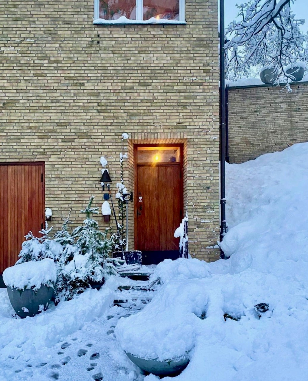 Schas! Försvinn! Dunsta! Stick så ... | Svante Öqvist | Sköna Hem