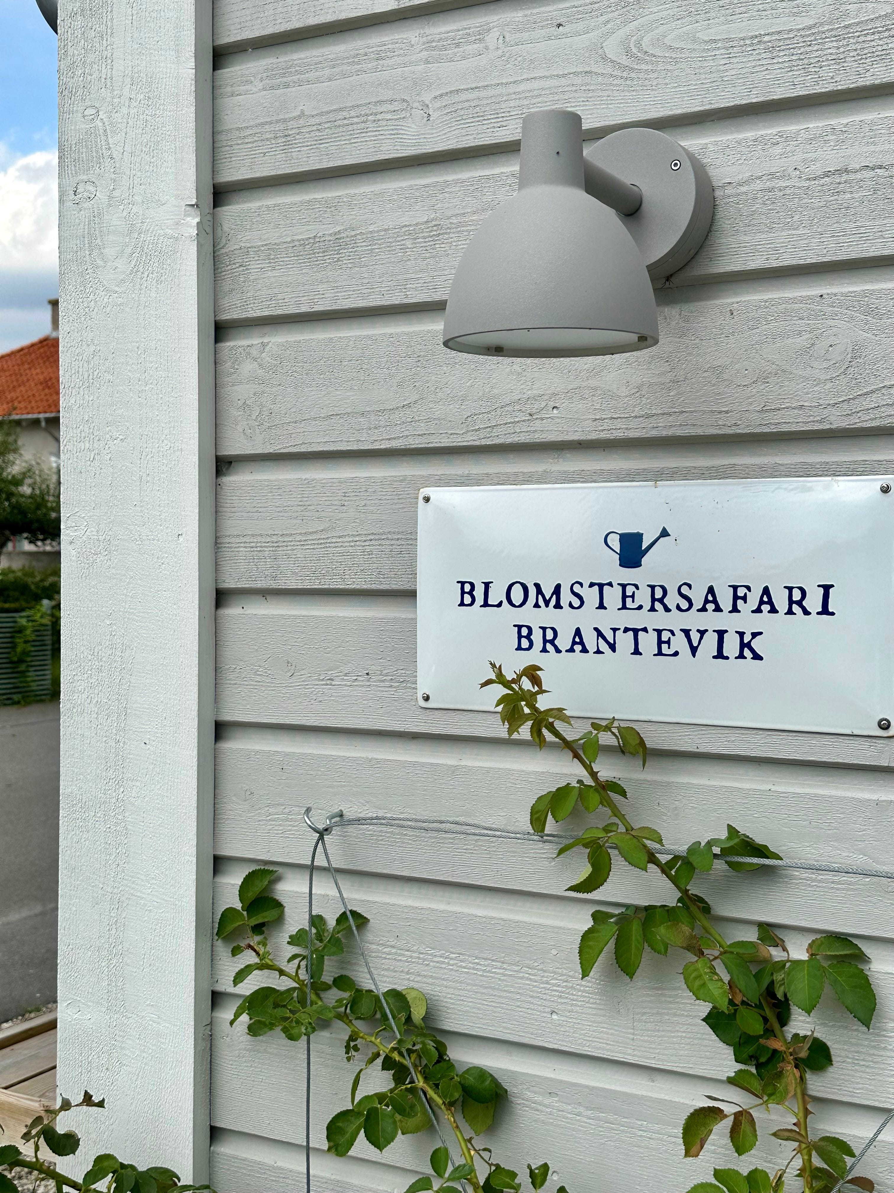Kreativt arbetsläger hemma hos luk... | Svante Öqvist | Sköna Hem