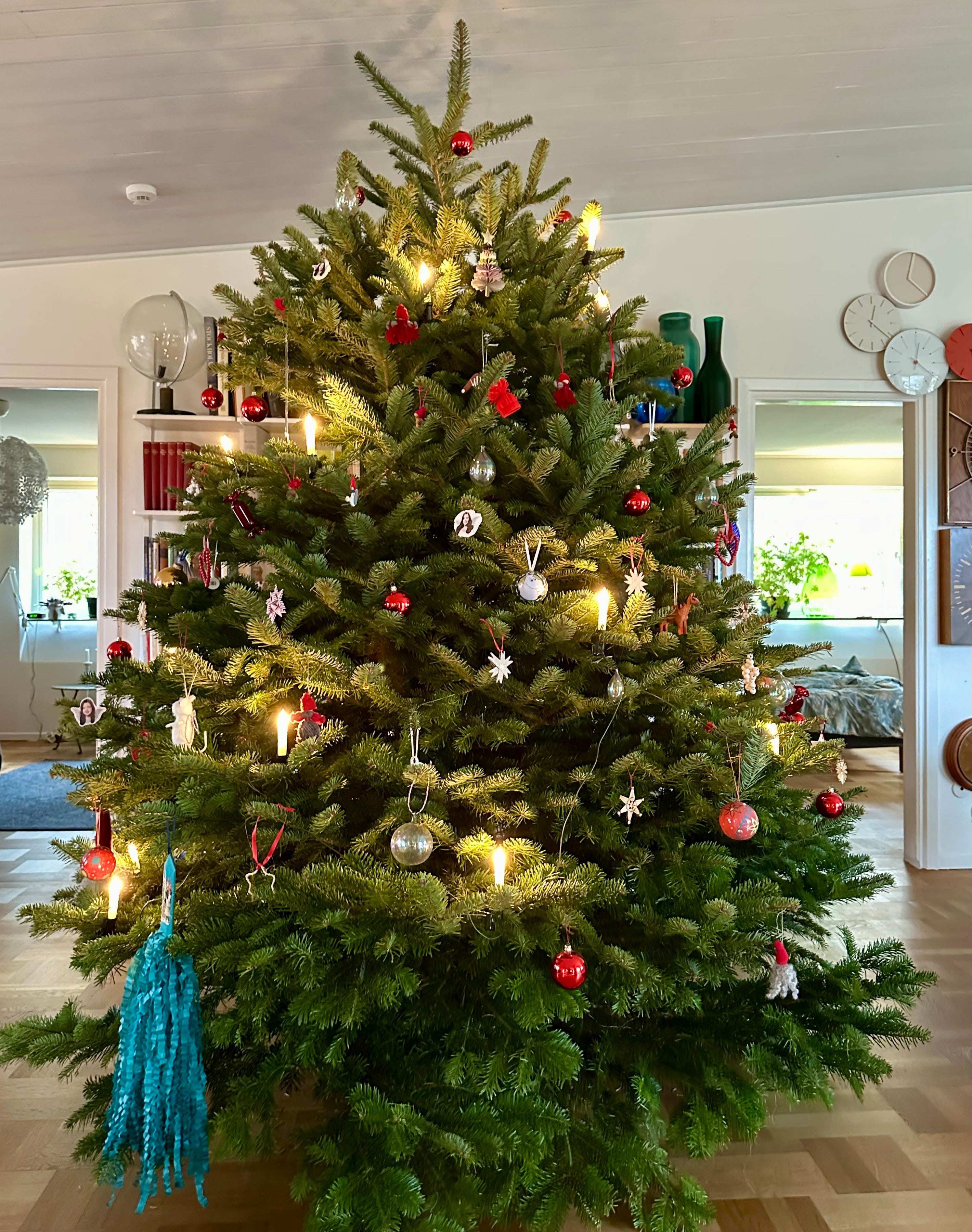 Traditionsbundet! Julgrans-stripte... | Svante Öqvist | Sköna Hem