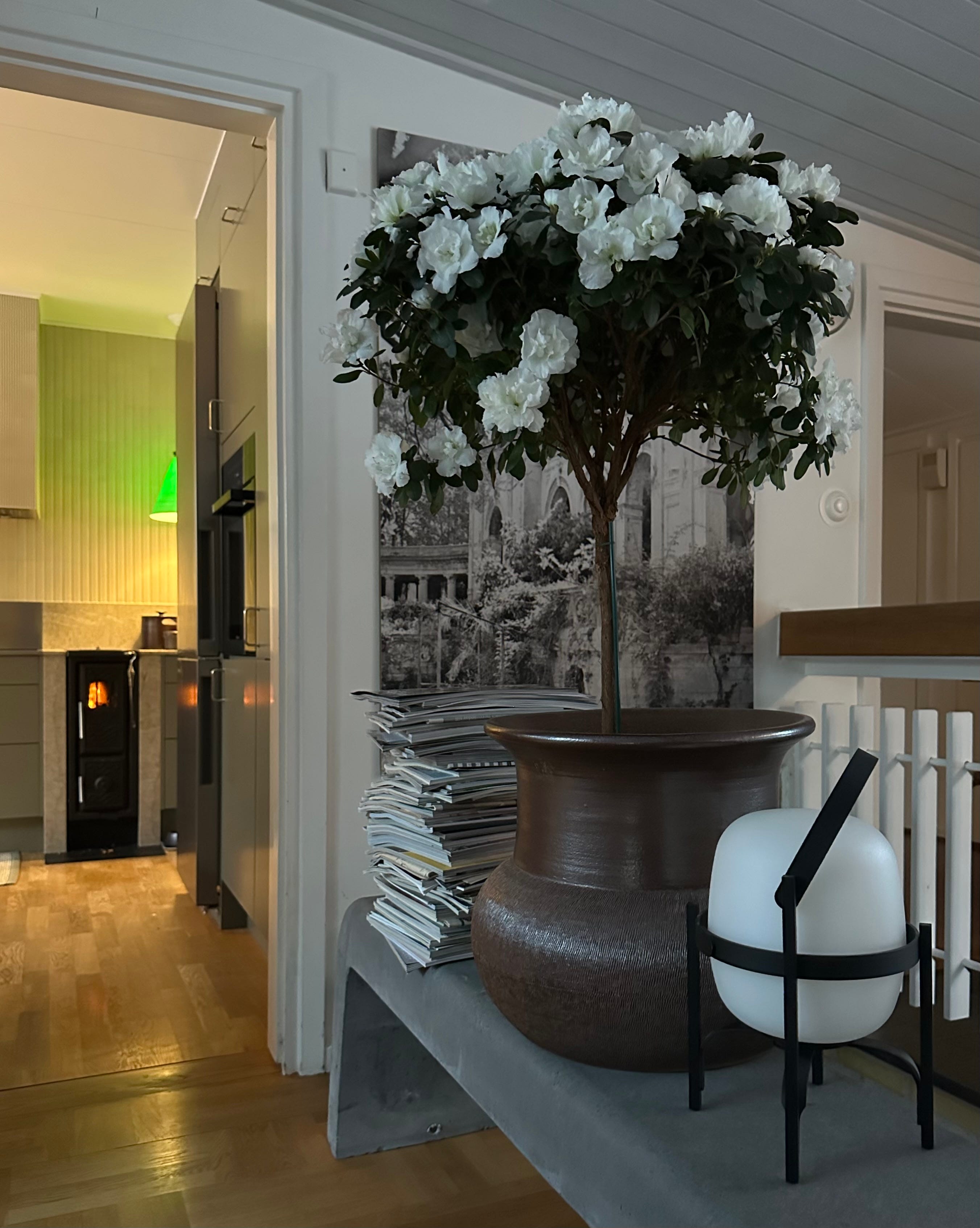 Köksvedspislycklig! Uppstammad vit... | Svante Öqvist | Sköna Hem