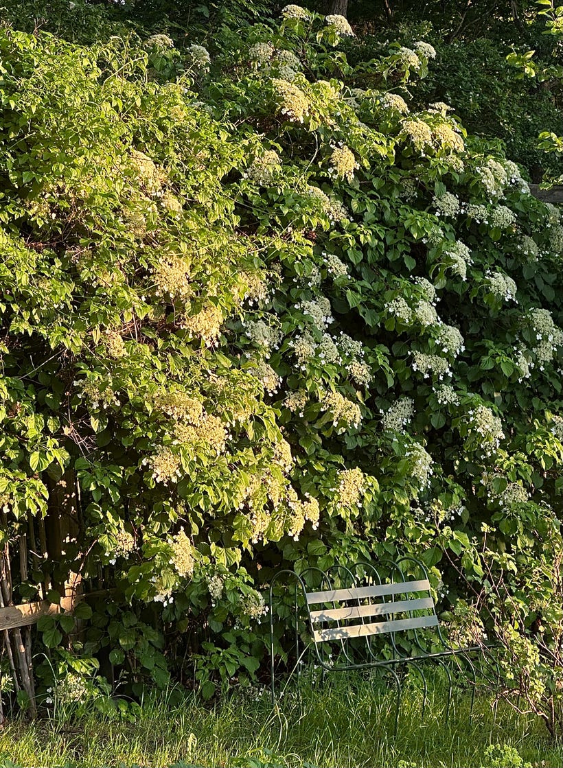 Den här tiden varje år… vilken max... | Svante Öqvist | Sköna Hem