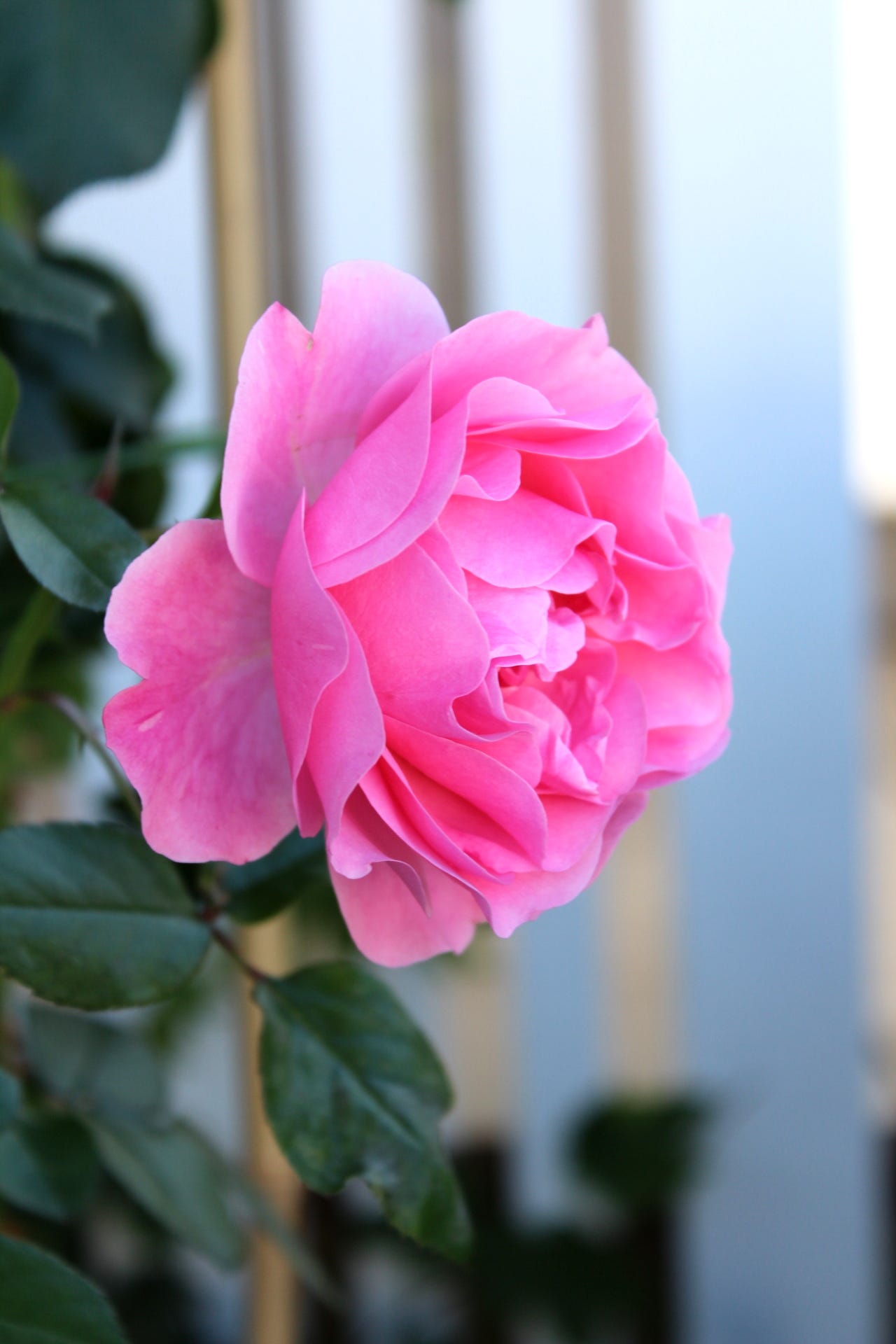 S... | Starwoman - Interior & Lifestyle by Anna Åberg | Sköna Hem