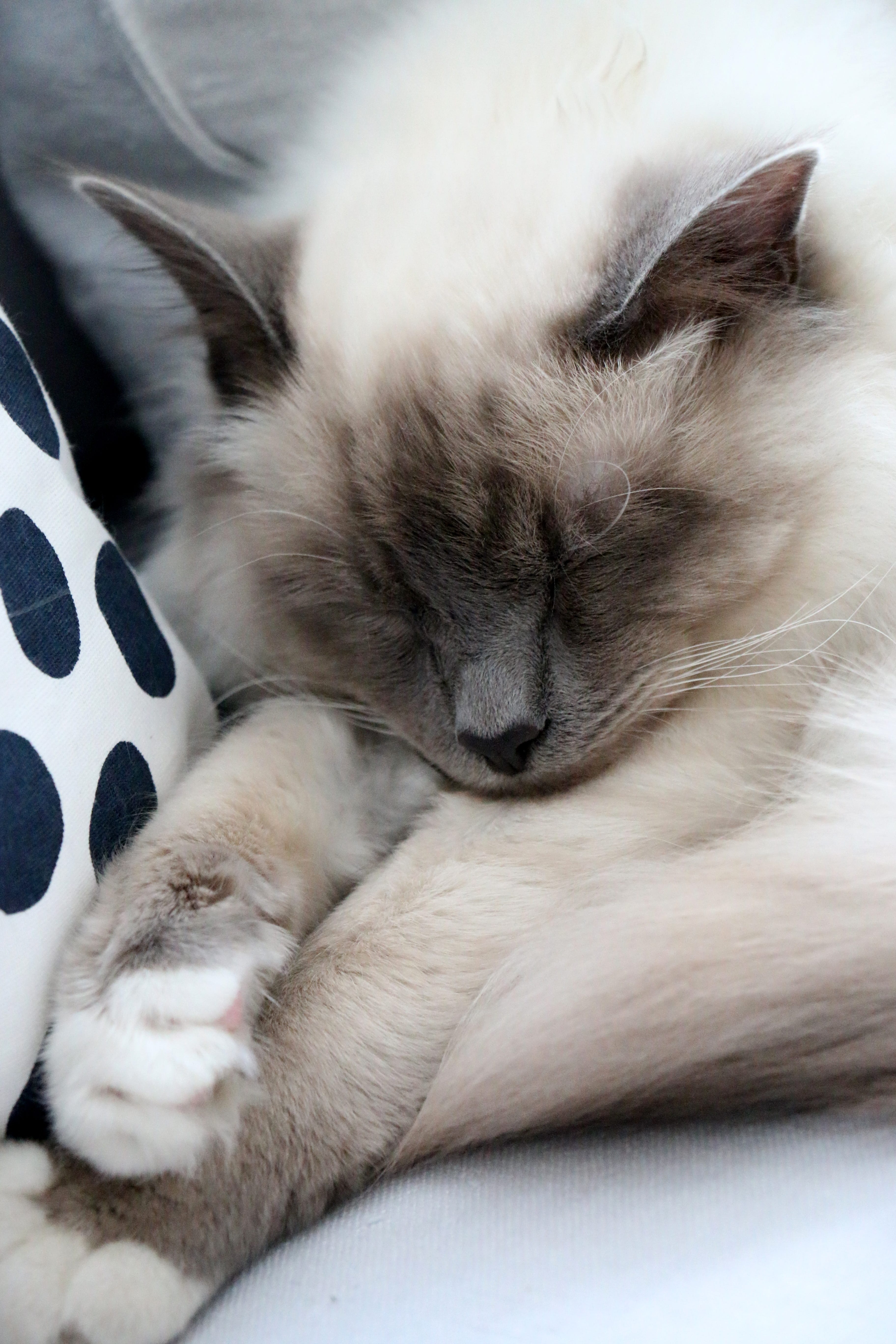 R... | Starwoman - Interior & Lifestyle by Anna Åberg | Sköna Hem