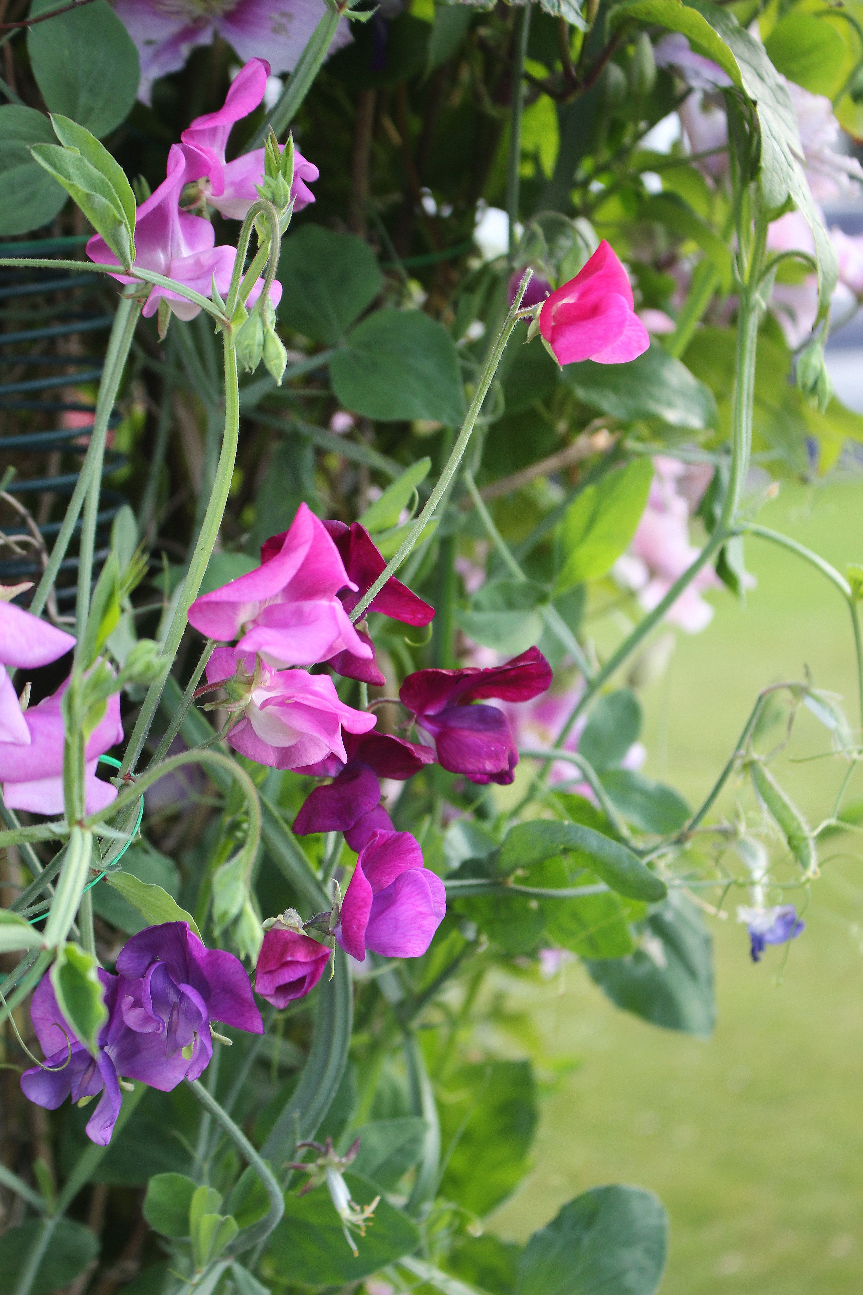 N... | Starwoman - Interior & Lifestyle by Anna Åberg | Sköna Hem